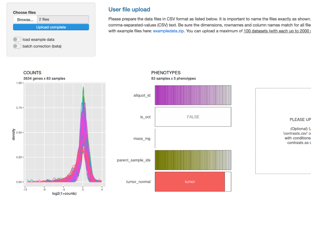 Five Week Experience | NCC Internship Blog